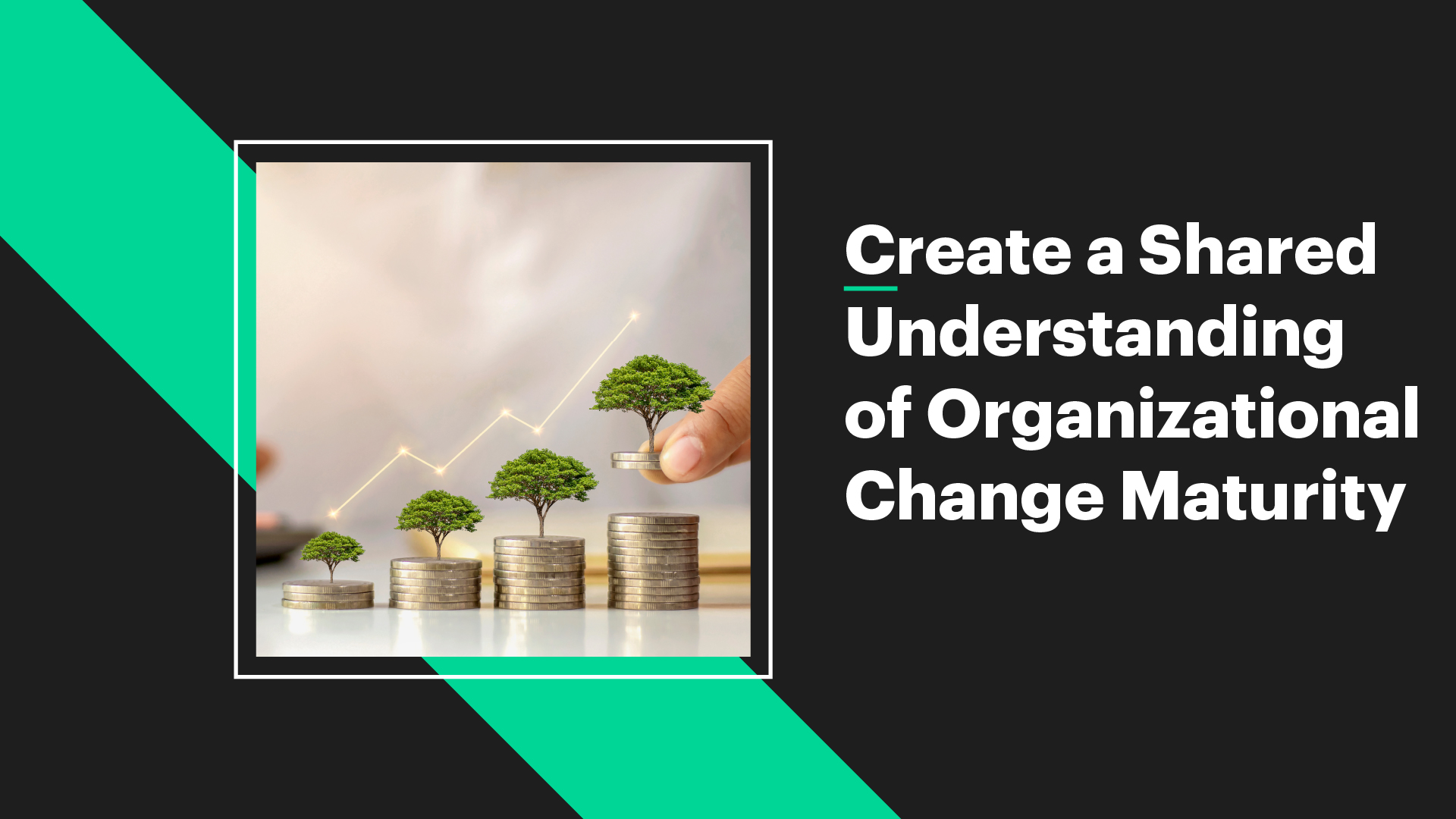 Create a Shared Understanding of Organisational Change Management ...